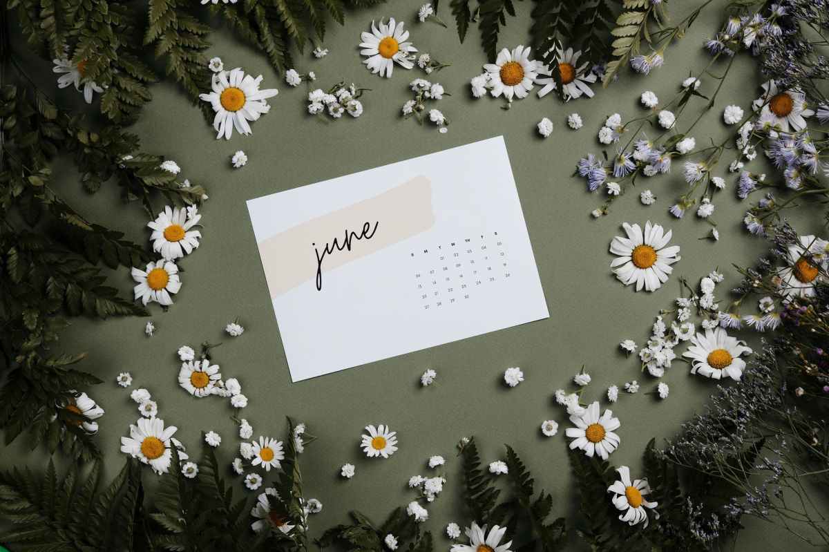 Wild June – Ginger Leaf Living